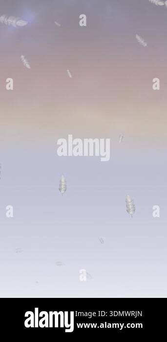 Animation of white bird feathers falling over cloudy sunset background ...