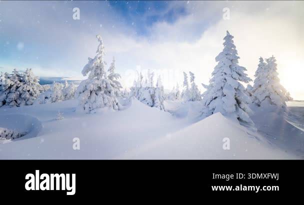 Snowflakes gently falling in slow motion create a peaceful and ...