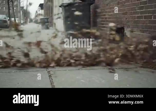 A windy day in an urban alleyway, with leaves swirling and blowing ...