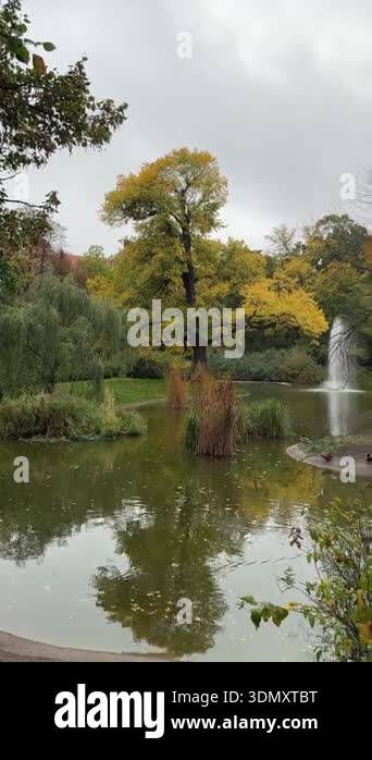 Lake with birds and fountains in Woodrow Wilson park in Poznan, Poland ...