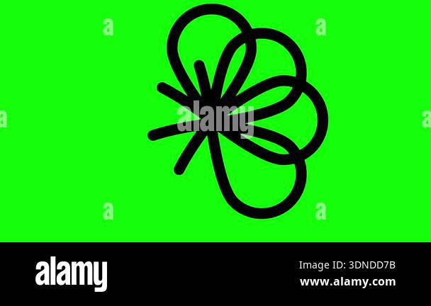 Animated black linear flower is drawn gradually. Line symbol of blossom ...