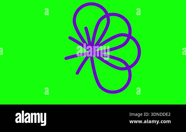 Animated violet linear flower is drawn gradually. Line purple symbol of ...