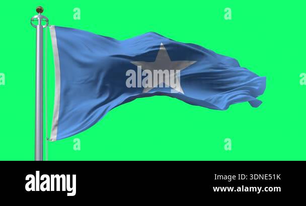 Somalia national flag waving isolated on green background. Seamless 3D ...