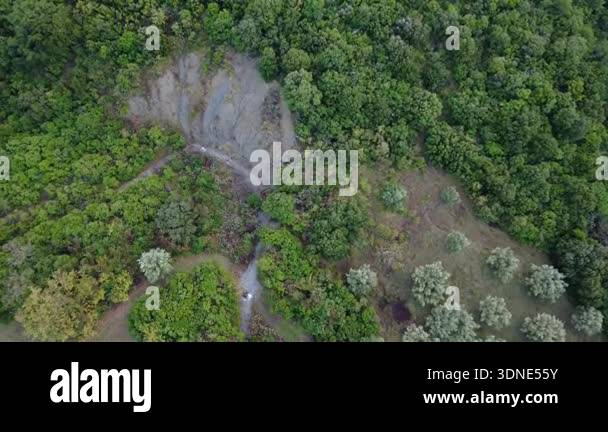 A foaming river flows through dense Mediterranean forest beneath a ...