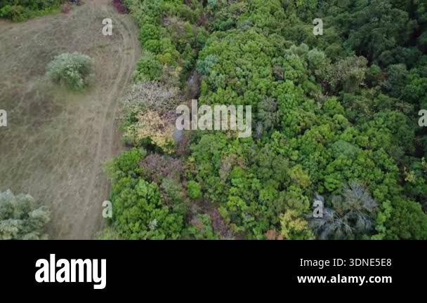 Thick forest vegetation surrounds the stream creating a secluded ...