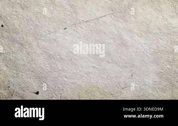 Light gray paper texture, soft vintage paper surface, subtle paper ...