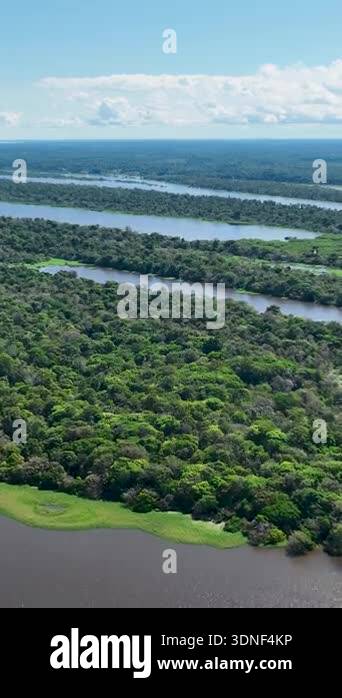 Manaus Brazil. Taruma River at Amazon Forest affluent of giant Black ...