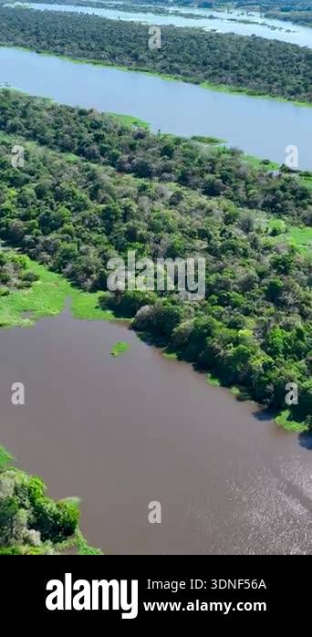 Amazon River at Amazon Forest. The famous tropical forest of world ...