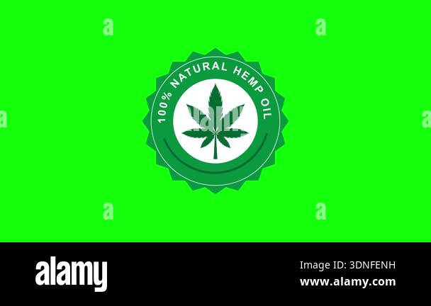 Animated natural hemp oil badge with cannabis leaf on green screen ...