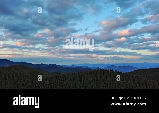 Cold cloudy weather over hills covered with spruce forests in Rhodope ...