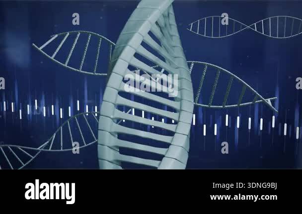 On data input, central DNA helix rotating while waveform oscillating ...