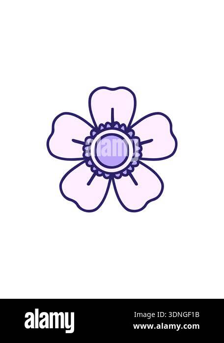 sales flash animation of bold simple flower cartoon Stock Video Footage ...