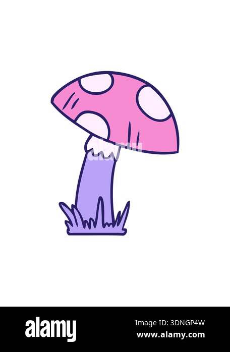Toad stool Stock Videos & Footage - HD and 4K Video Clips - Alamy