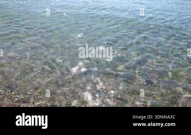 Clean transparent water on shallow sandy seashore with shells with ...