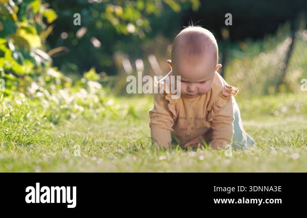 6 month old baby girl crawling forward on green grass outdoors. Natural ...