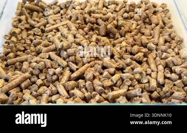 Timelapse of wood pellet pet litter in container absorbing water and ...