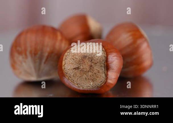 A close-up video of a hazelnut in its shell Stock Video Footage - Alamy