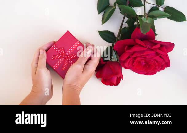 Gift for Valentines Day - someone hands placing gift box near red roses ...