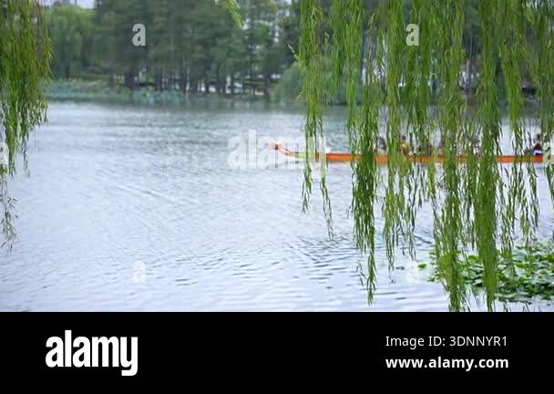Shanghai November 8 2025 team of athletes rowing a traditional dragon ...