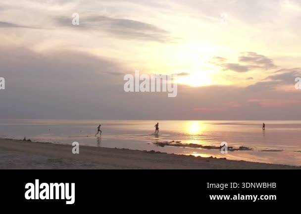 Group friends swimming in sea Stock Videos & Footage - HD and 4K Video ...