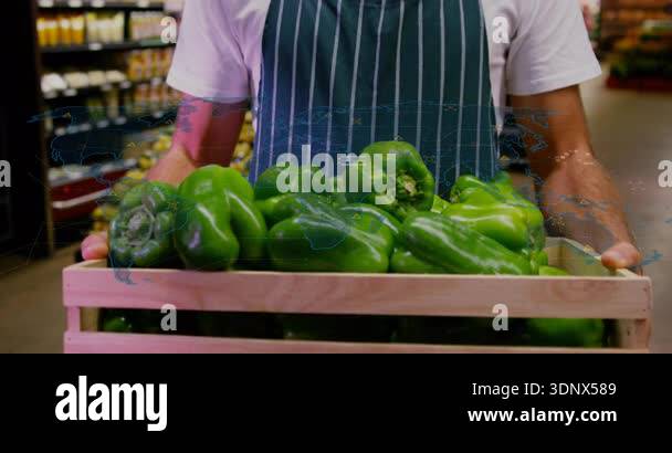 Food store clerk holding pepper crate, view tilting overlaying world ...