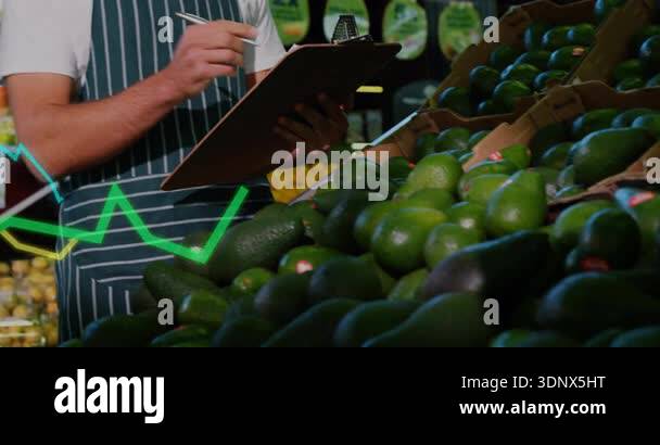 Produce clerk raising clipboard inspecting avocados, tracking inventory ...