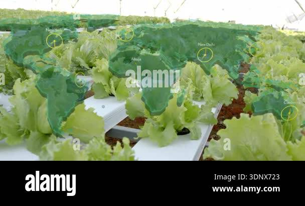 Food security map Stock Videos & Footage - HD and 4K Video Clips - Alamy