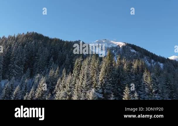 Aerial survey of snowy coniferous forest revealing an alpine peak in ...