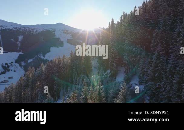High angle perspective over snowy alpine forest in Saalbach, Austria ...