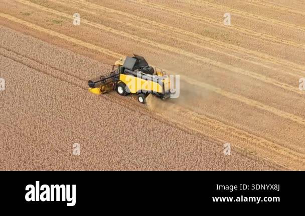Vehicle harvesting grain crop in countryside field. Combine cutting ...