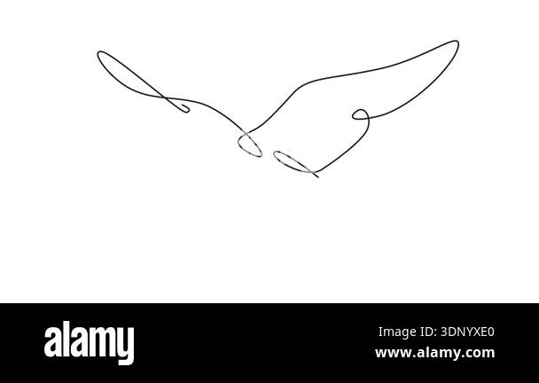 animated continuous line drawing of a flying bird, line art animation ...