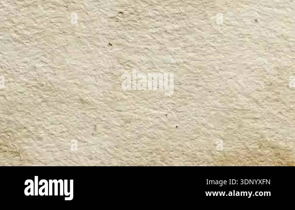 Light beige vintage paper texture background with natural fiber grain ...