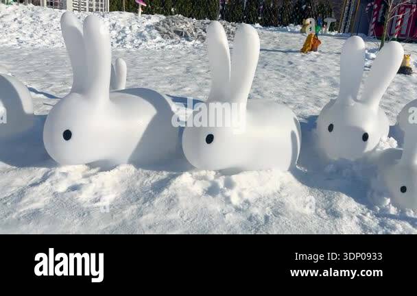 White snow bunnies in a winter wonderland. Festive and playful outdoor ...