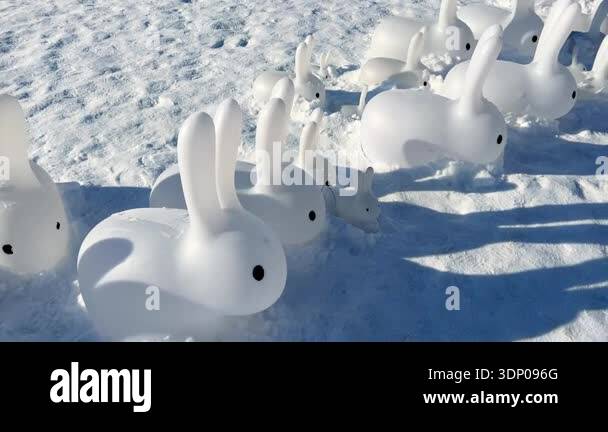White snow bunnies in a winter wonderland. Festive and playful outdoor ...