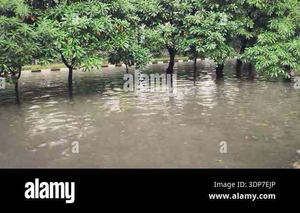 Annual flood season Stock Videos & Footage - HD and 4K Video Clips - Alamy