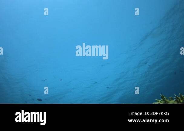 Blue background Tropical Sea. Tropical blue water. Sea waves. Blue ...