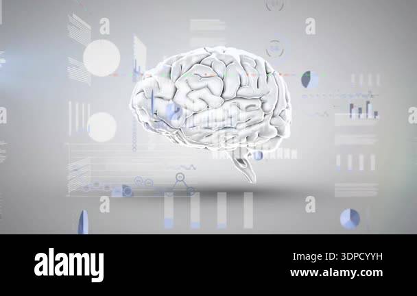 The brain spinning on white background is a digital animation that ...