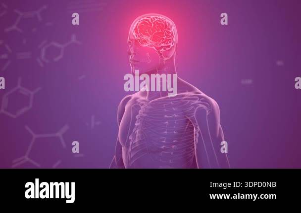 Animation of chemical formulas over human model on purple background ...