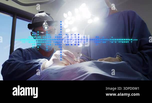 Dissection incision Stock Videos & Footage - HD and 4K Video Clips - Alamy