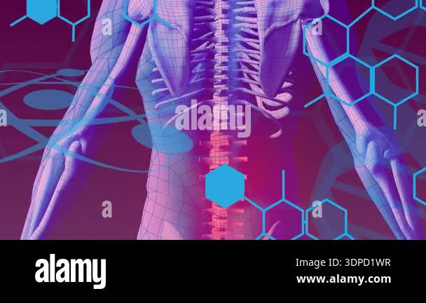 Animation of chemical formulas over midsection of human model on purple ...
