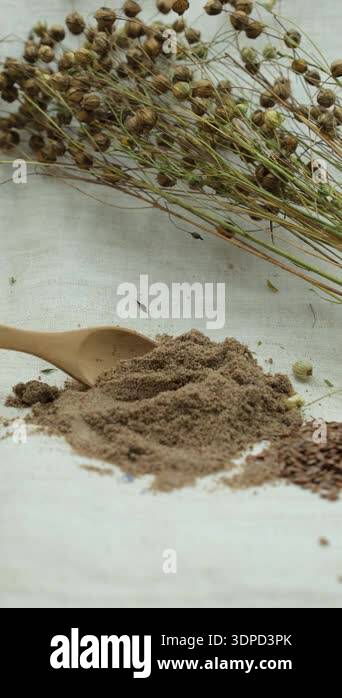Flaxseed Flour in a Spoon on Linen Canvas. Dried Flax Seed Pods ...