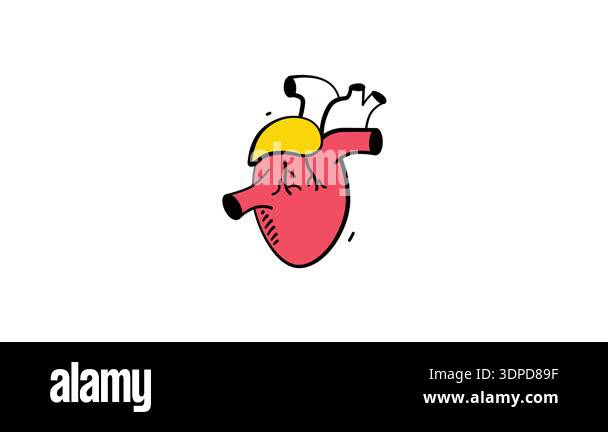 Hand drawn heart animated icon representing cardiovascular health and ...