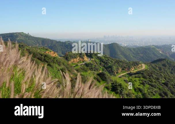 Wide shot of the Los Angeles skyline, Griffith Observatory, and ...