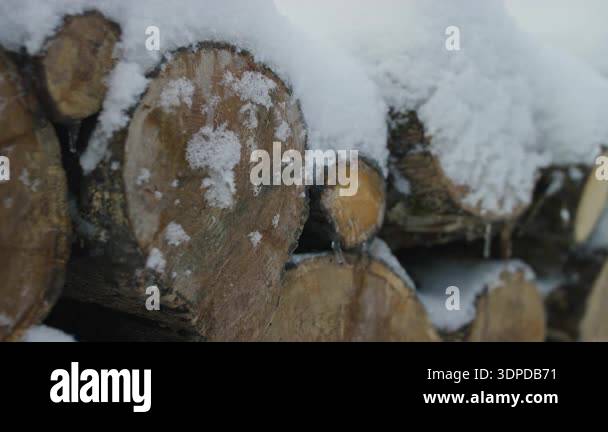 Close up of stacked firewood logs topped with fresh snow, highlighting ...