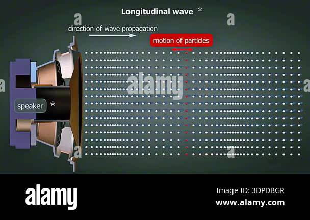 3d animation of longitudinal wave showing particle motion parallel to ...
