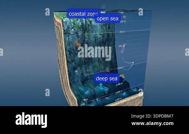 3d animation of ocean layers showing surface zone, thermocline, deep ...