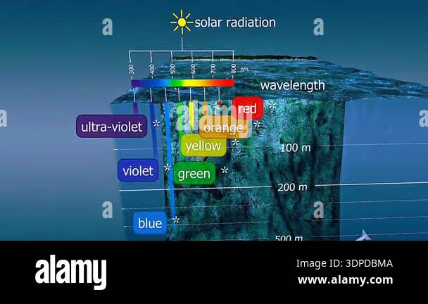3d animation of light absorption in different ocean layers showing ...