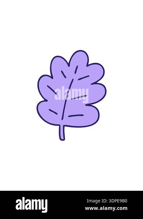 starburst effect animation of cartoon of a simple yet magnificent leaf ...