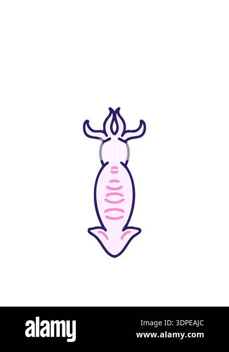 jumping motion animation of a fresh japanese seafood squid image Stock ...
