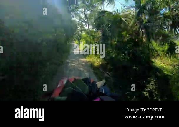 A journey unfolds on a dirt path surrounded by thick plants and trees ...